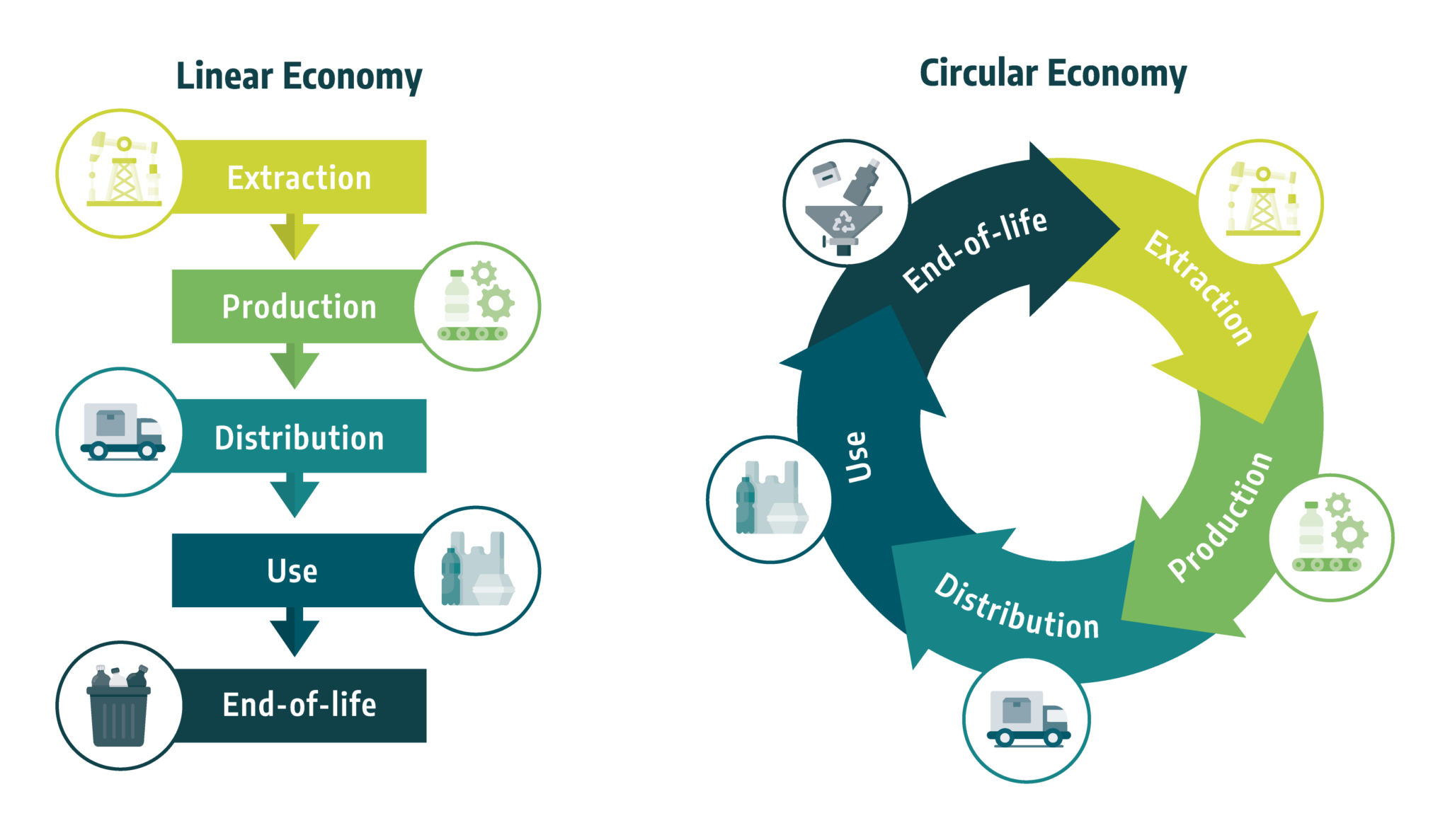 MAGNO CONSUMER INSIGHTS: What is the Circular Economy? - MAGNO-PROJECT